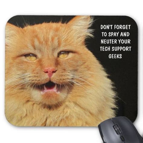 Spay And Neuter Your Tech Support Geeks Mouse Pad Zazzle Orange Cat