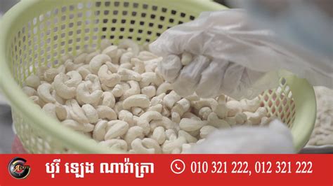 ក្រសួងកសិកម្ម ប្តេជ្ញាបង្កើនកិច្ចសហការ និងការវិនិយោគ ដើម្បីប្រែក្លាយកម្ពុជាជាអធិរាជចន្ទីនាពេលអនាគត