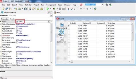 First Steps To Use FireDAC RAD Studio