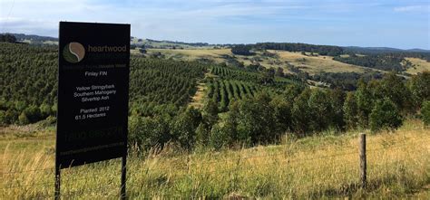 Installing Curved Timber Cladding Radial Timber Sales