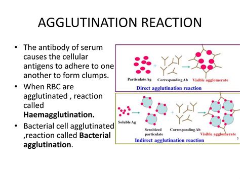 Immunoglobulin Pptx