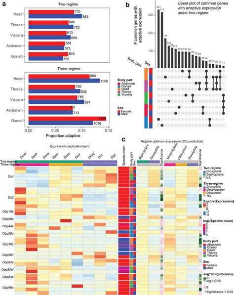 Adaptive Gene Expression Evolution In Drosophila Genus A The