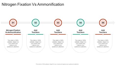 Nitrogen Fixation Vs Ammonification In Ppt Powerpoint Presentation Slide Templates Cpp PPT