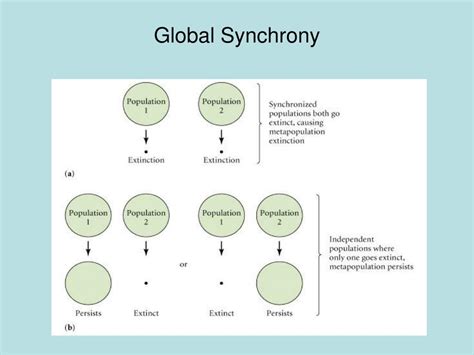 Ppt Metapopulation Dynamics Powerpoint Presentation Free Download Id1822145