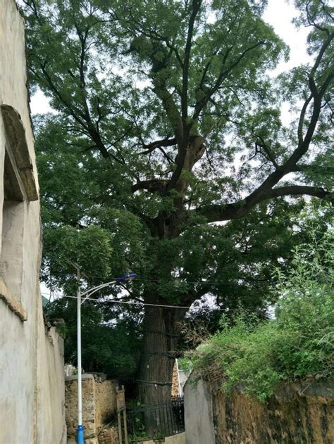 北京市鄉村民俗旅遊村 每日頭條