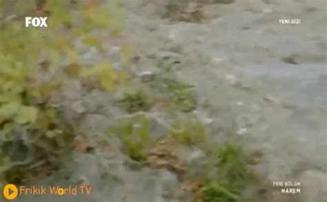 Melis Tuzunguc Breasts Scene In Harem Aznude