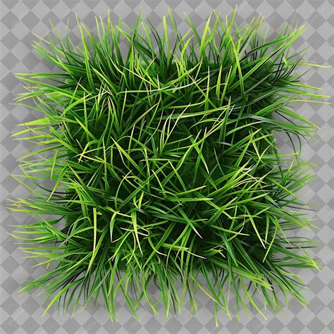 Tall Fescue Rebel Ii Grass With Tourmaline Stones And Tanger Png Green