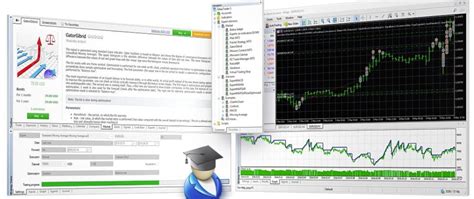 Trading Di MT5 Biar Cuan Nih Cara Simpelnya HSB Investasi