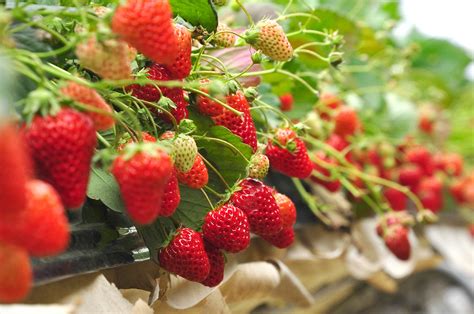 How Many Sensor Locations Are Needed Groguru