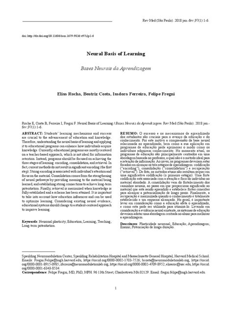 Neural Basis Of Learning 5357 Pdf Memory Attention