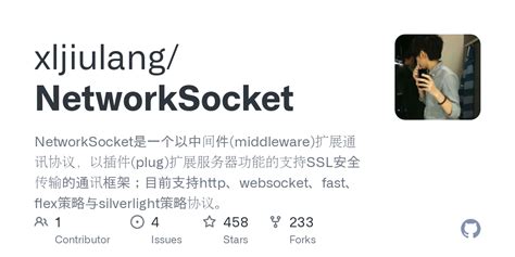 GitHub xljiulang NetworkSocket NetworkSocket是一个以中间件 middleware 扩展通讯协议以插件 plug 扩展服务器功能的支持SSL