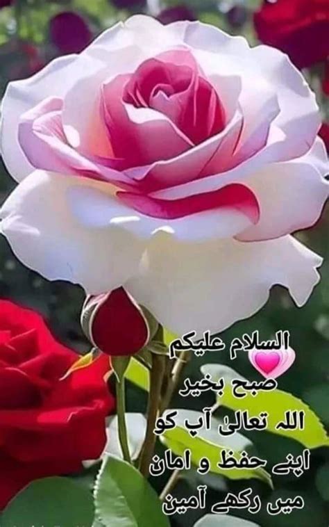 Syed Muhammad Nasir Posted On Linkedin