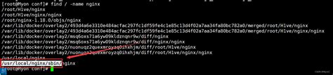 nginx首页修改及使用nginx实现端口转发 nginx 修改欢迎首页 csdn博客