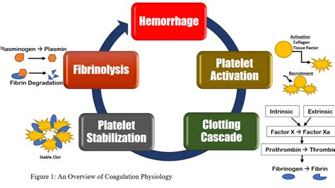 Massive Transfusion And Major Hemorrhage Protocols