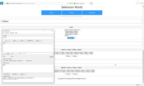 How Selenium Works Input Exceptions IE Selenium World
