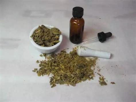 Propolis What Is It Propolis Medicinal Properties And