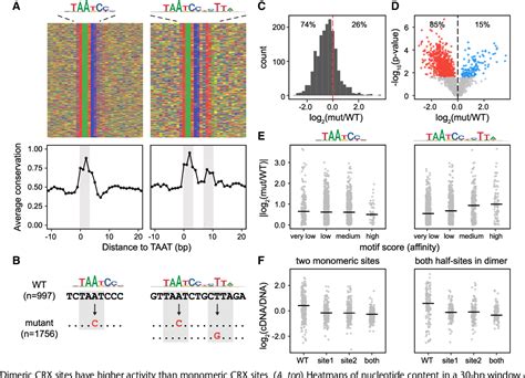 Figure 3 From A Massively Parallel Reporter Assay Reveals Context Dependent Activity Of