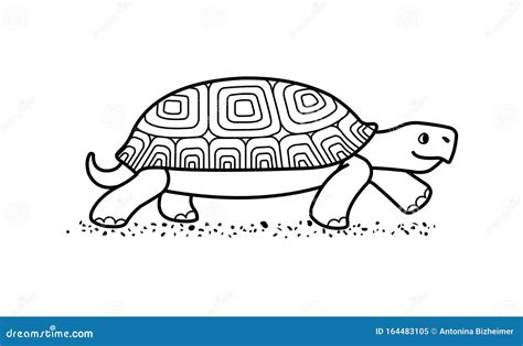 Tortoise Shell Background Stock Illustrations 4990 Tortoise Shell