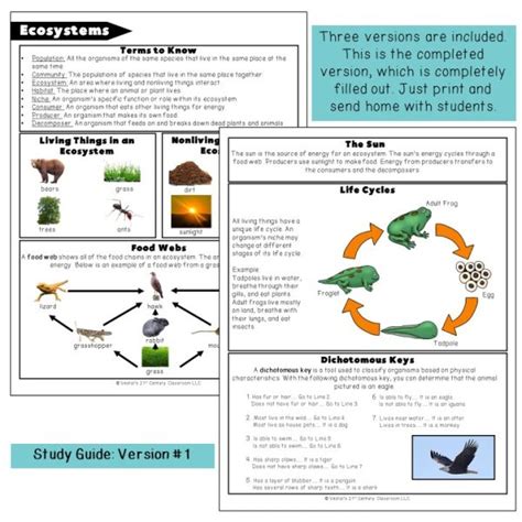 Ecosystems Study Guide And Review Worksheets