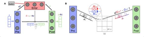 a the error neuronal ensemble calculates the difference e y −