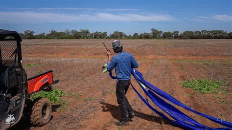 Object Boogie 2024 Skydivemag