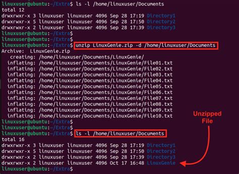 how to unzip a zip file in ubuntu 22 04 linux genie