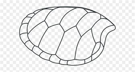 Svg Hiturtle Shell Coloring Pages Draw A Turtle Shell Free