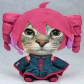 Teto Plush Memes