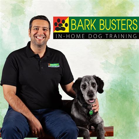 Bark Busters Montréal Est Et Rive Sud Montréal Est Qc