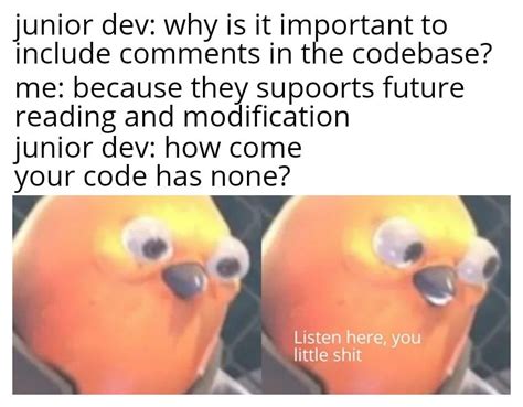 I Write Self Explanatory Code You Dumdum Rprogrammerhumor
