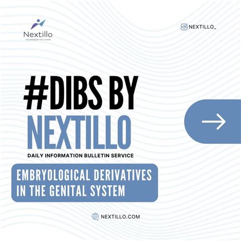 Embryological Derivatives In The Genital Systempdf