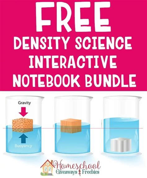 Free Density Science Doodles Interactive Notebook Bundle