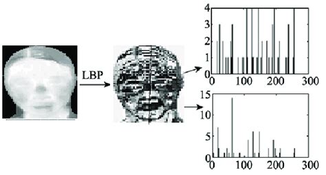 The Feature Extraction Of Lbp Download Scientific Diagram
