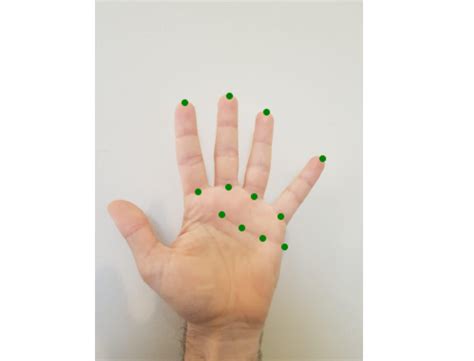 Hand Keypoints Detection Detect The Keypoint Positions On Hand By