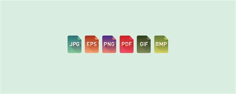 Vector Vs Png File Makanan Yang Bisa Menjaga Daya Tahan Tubuh