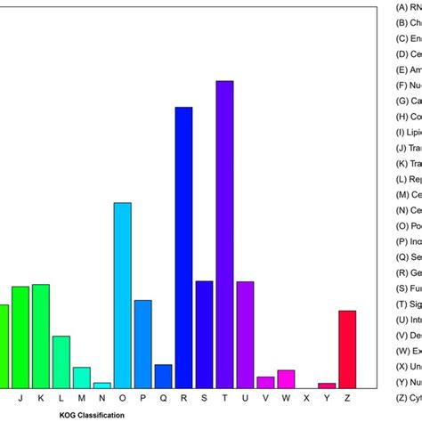 Functional Annotation Of Gene Products From Kegg Database Download