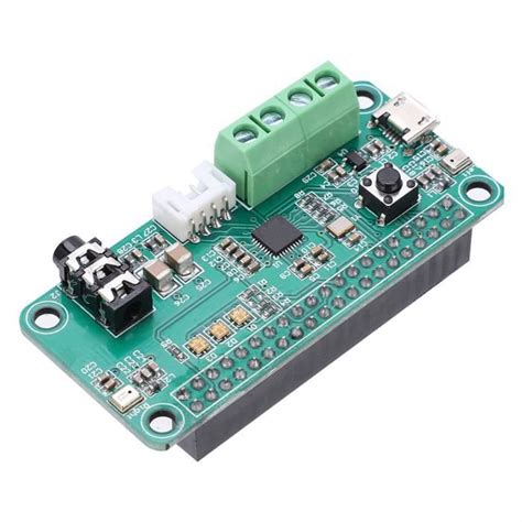 Module De Décodeur Audio Module De Décodage Audio Reconnaissance Vocale Double Microphone Wm8960