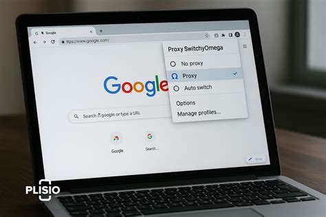 Proxy Switchyomega Use Proxies And Proxy Integration Guide