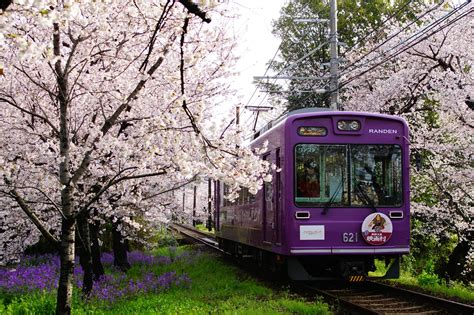 Ola Konnichiwa Dia Dhuit Hello Welcome Back To Managing Mental Health Musical Madness Ive