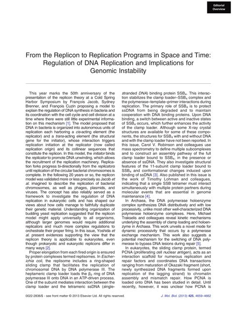 Pdf From The Replicon To Replication Programs In Space And Time