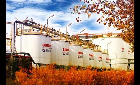 Chinese Chemical Manufacturers Sinopec Profile 2025 Camal Group