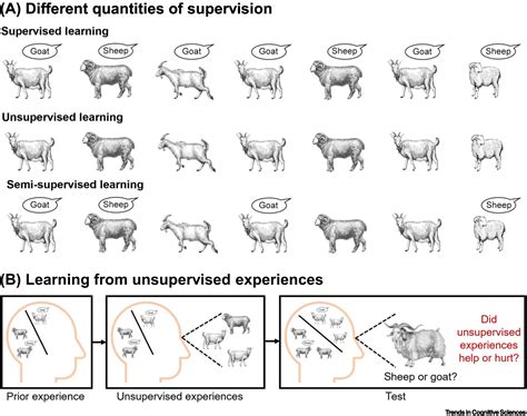 Demystifying Unsupervised Learning How It Helps And Hurts Trends In