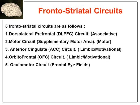 Goal Directed Behaviour And Its Disorders Lecture 9 John Done Ppt Download