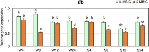 Transcriptional Reprogramming Of Encoding Fibrinogen Binding Protein