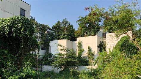 Ten Beautifully Biophilic Buildings From Dezeen S Pinterest