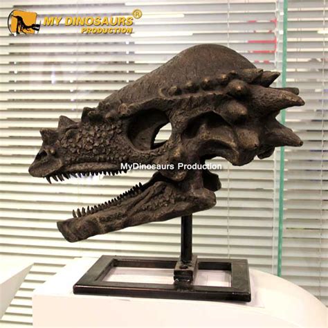 Cost Dinosaur Fossil Pachycephalosaurus Skull For Sale