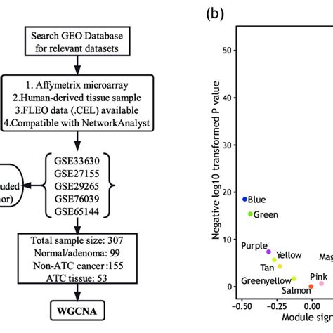 Module Detection Based On Wgcna A Data Retrieval Process For Wgcna