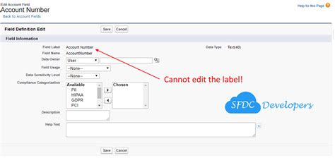 Rename Standard Object And Field Labels Sfdc Developers