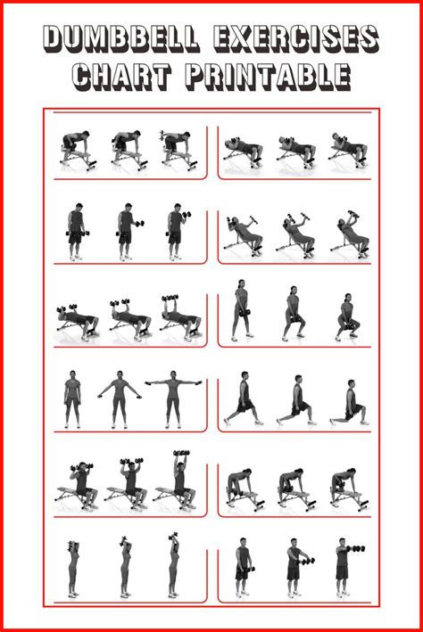 Dumbbell Exercise Chart Printable Free Free Printable