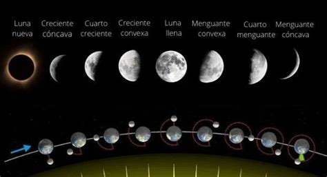 Fases Lunares Desde El Hemisferio Sur Ciclo Lunar Luna Menguante Luna